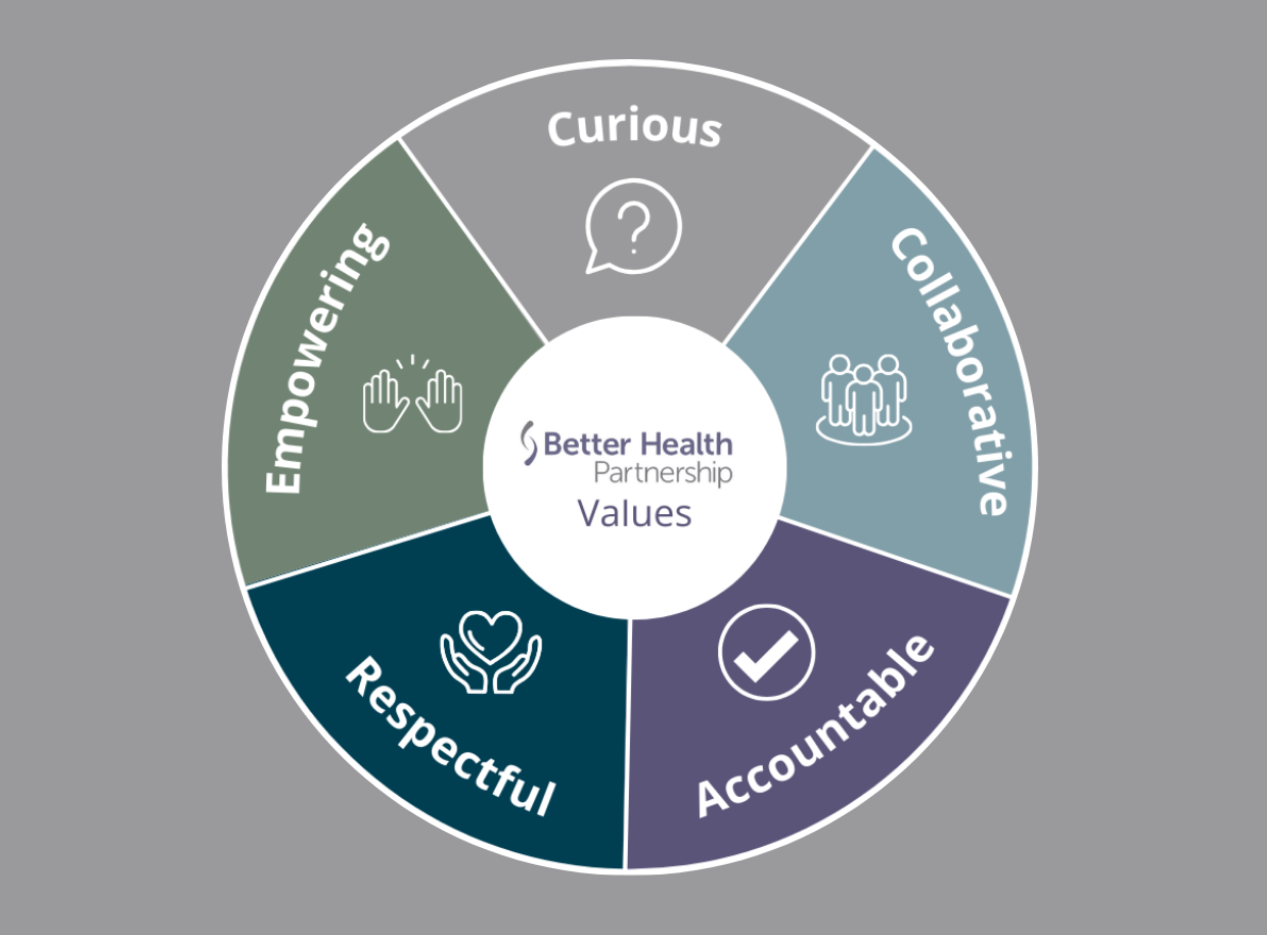 Better Health Partnership | Health Care Collaborative
